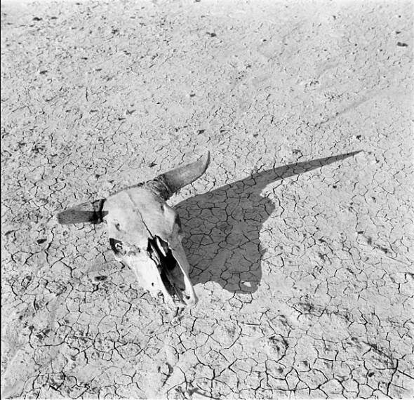 “Eyewitness Views” and the long, strange history of documenting ...