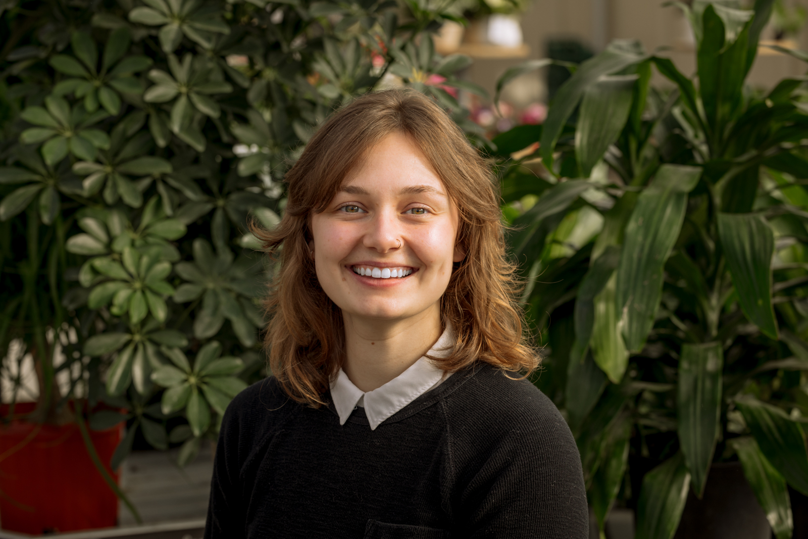 Beauty and Bounty: Creating Sustainable Landscapes and Gardens for ...