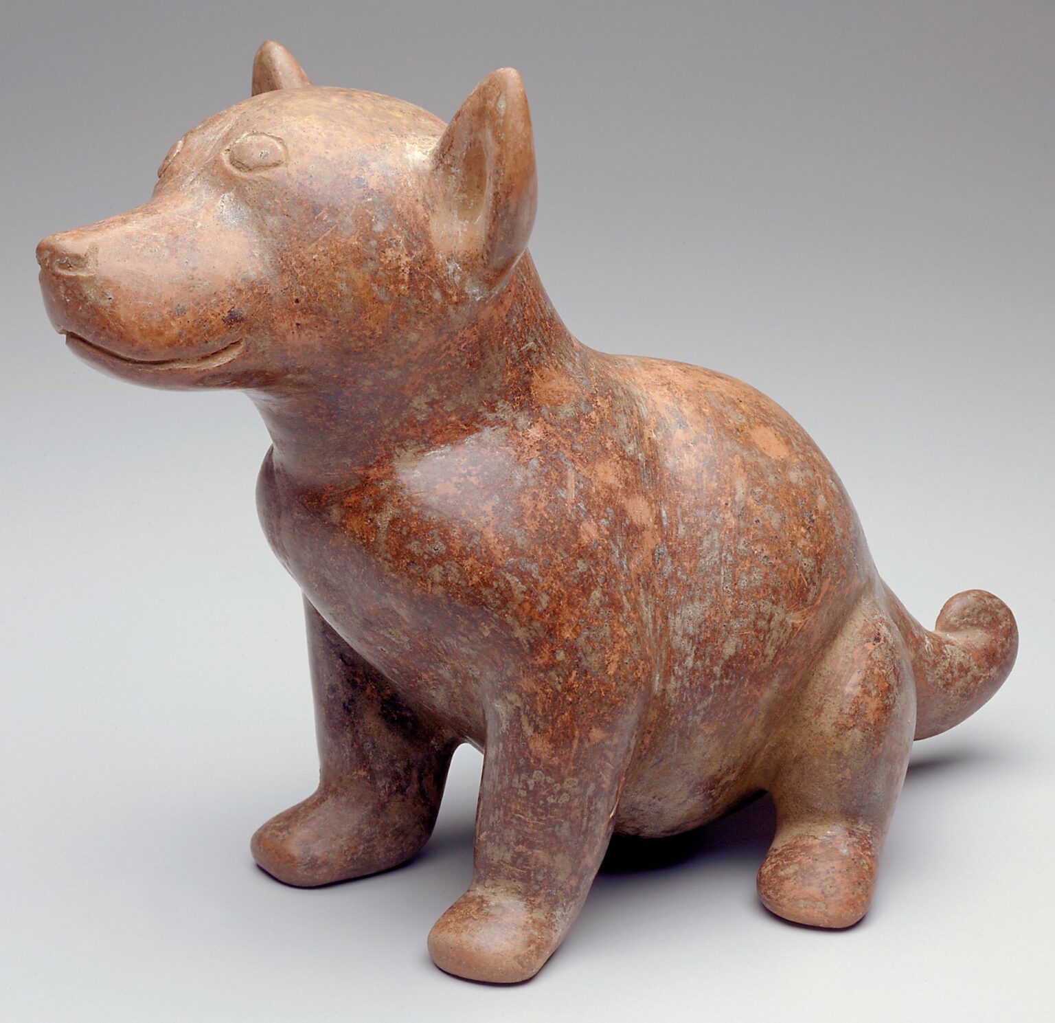 Dog days: A brief, fur-filled history of canines in the collection ...